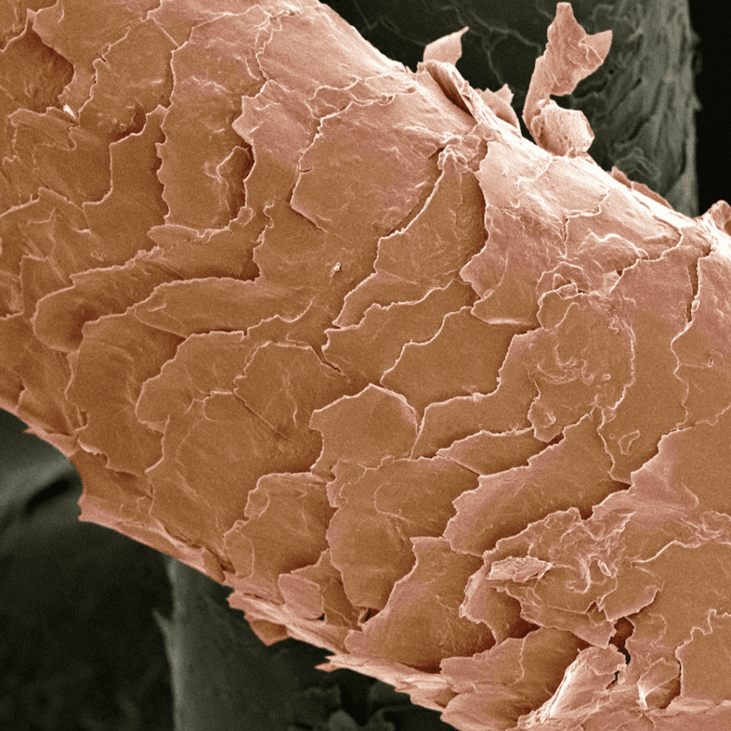 High Porosity Hair Guide | The Mestiza Muse