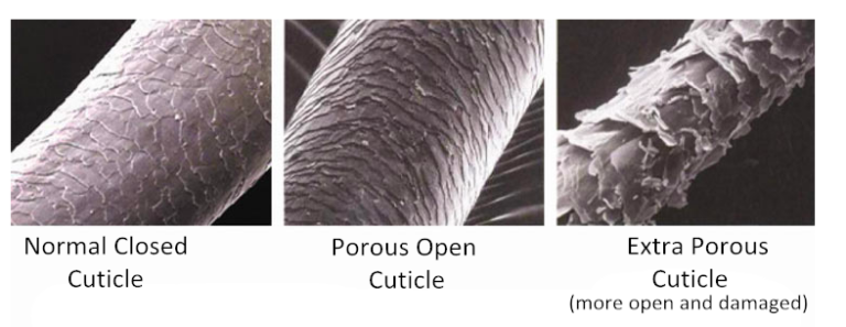 High Porosity Hair Guide | The Mestiza Muse