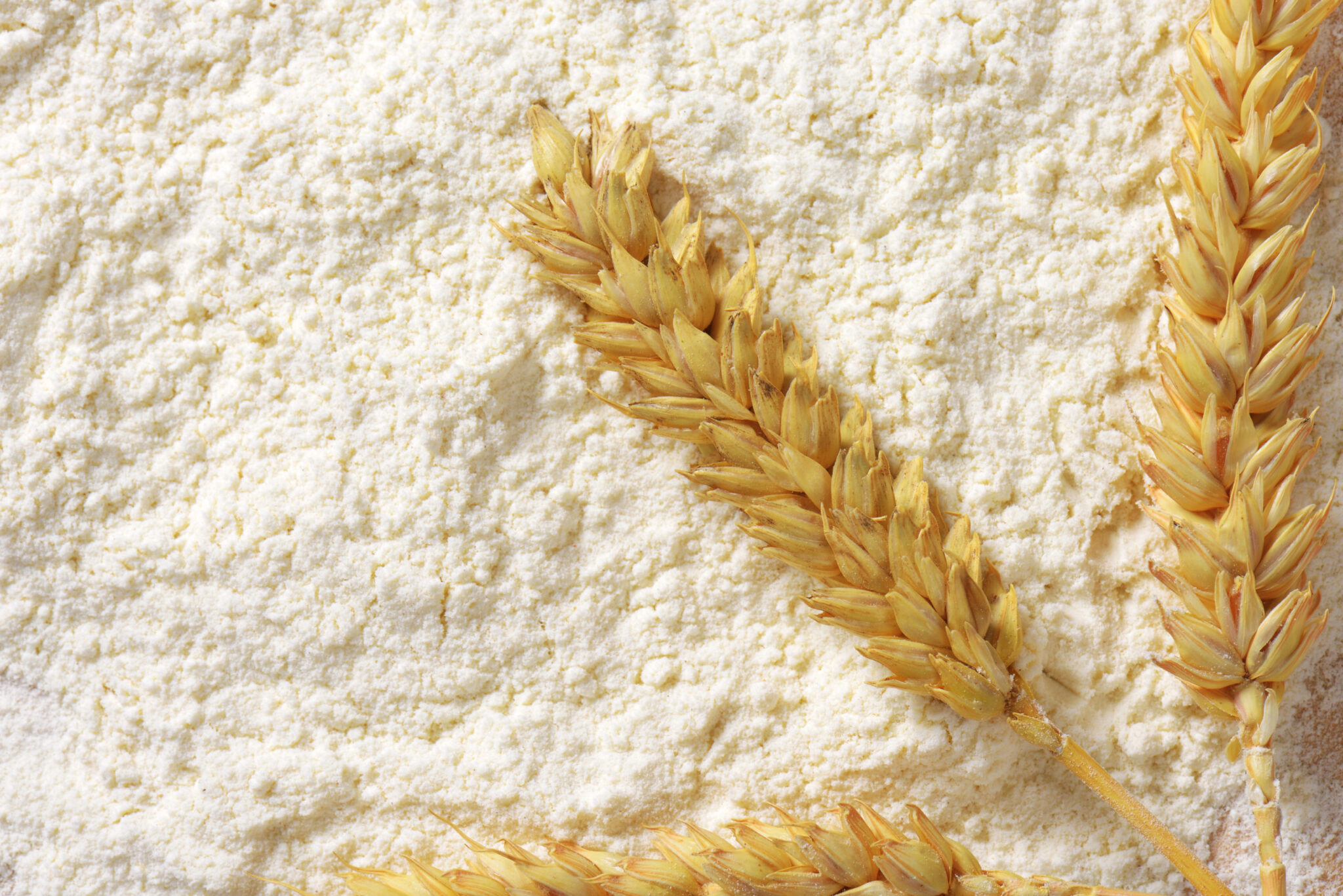 The Benefits Of Hydrolyzed Wheat Protein: How It Can Improve Hair | The ...