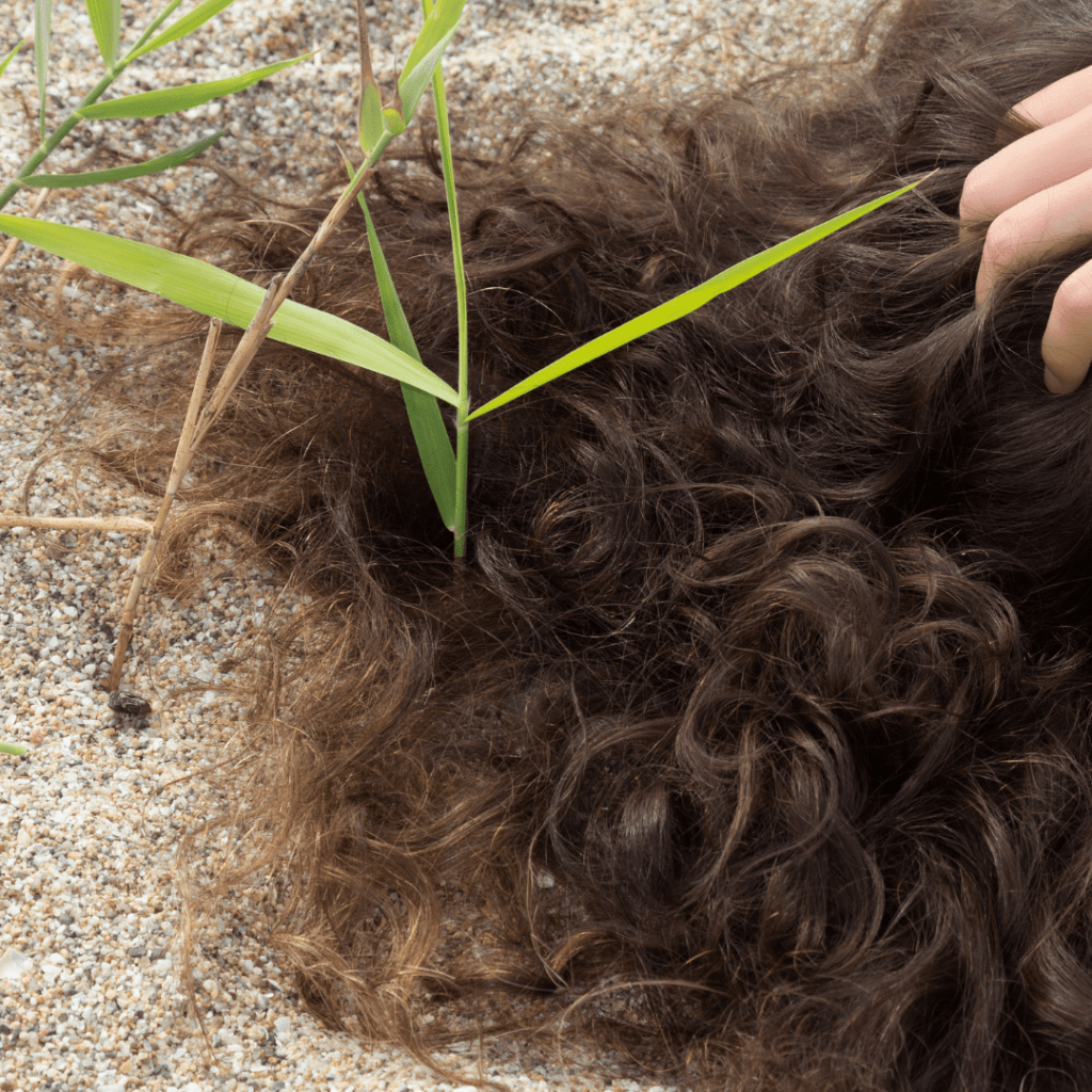 How To Get Sand Out Of Curly Hair: Best Tips And Tricks | The Mestiza Muse