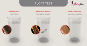 Hair Porosity Guide: Low Vs High Porosity Hair Explained | The Mestiza Muse