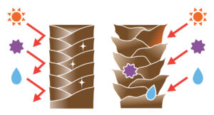 Science-Backed Gel Cast Methods, Mistakes, And Product Must-Haves | The ...