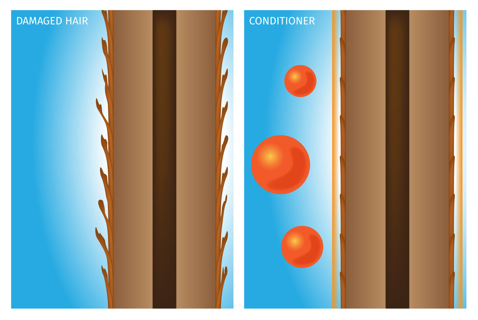 The Key Ingredients In Rinse-Out Conditioners For High Porosity Hair ...