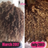 How To Restore Bleached Damaged Hair Without Making It Worse | The ...