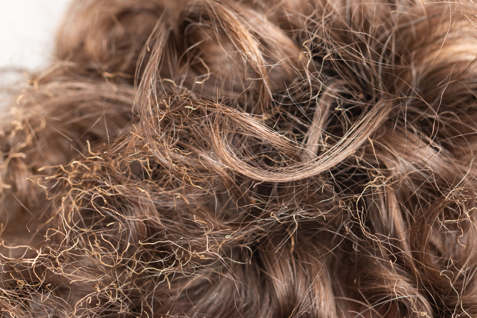 Hair Breakage Causes And Solutions | The Mestiza Muse