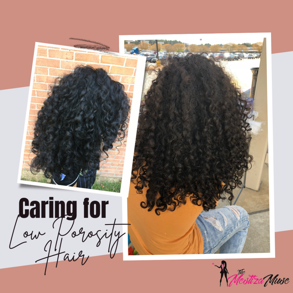 Managing Low Porosity Hair: Effective Care Tips | The Mestiza Muse
