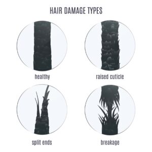 Hair Breakage Causes And Solutions | The Mestiza Muse